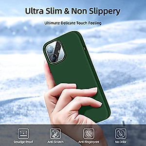 JTWIE [5 in 1 for iPhone 12 Phone Case/iPhone 12 Pro Phone Case with Screen Protector and Camera Lens Protector, Liquid Silicone Phone Case for iPhone 12 Pro (Alpine Green)…