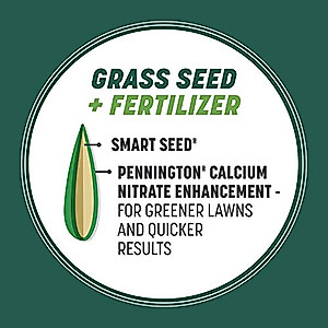 Pennington Smart Seed Sun and Shade Grass Mix 20 lb, Black Label