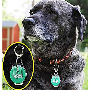 SilenTags Kwik Clip Tag Silencer and Tag Ring