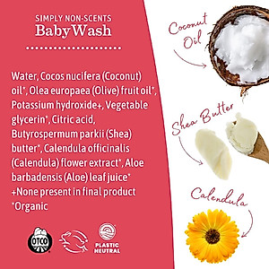 Earth Mama Simply Non-Scents Baby Wash Foaming Hand Soap, Organic Fragrance Free Body Wash, Unscented Body Wash, Castile Soap with Coconut Oil, Shea Butter, Calendula, & Aloe, 34floz