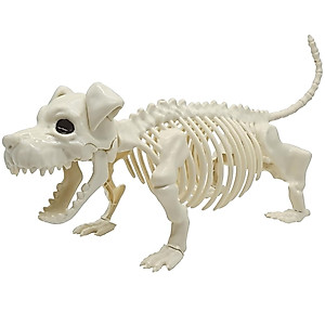 DINESIL Halloween Decoration Skeleton Dog, Skeleton Animal Plastic Puppy with Posable Joints for Halloween Outdoor Indoor Decoration, Haunted House Spooky Scene Party Favors Decor