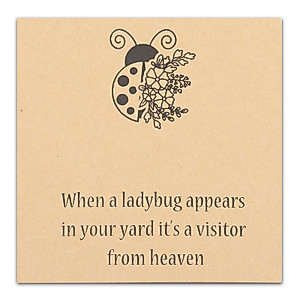 FAADBUK Ladybug Memorial Keychain When a Ladybug Appears In Memory of Love One Sympathy Gift (Card)