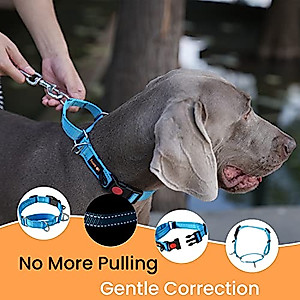 JuWow Nylon Martingale Collar, Adjustable Pet Slip Collar with Breakaway Buckle for Medium Large Dogs, Reflective Stitching Collar for Safe Training Walking (Large:17-22" * 1", Blue)
