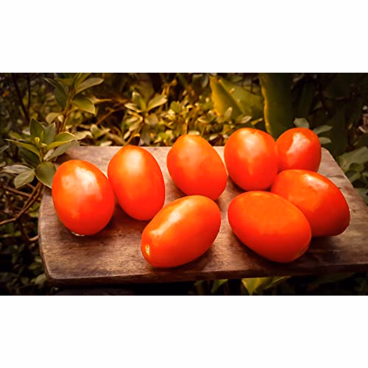 "Italian Roma" Tomato Seeds for Planting, 25+ Heirloom Seeds Per Packet, (Isla's Garden Seeds), Non GMO Seeds, Botanical Name: Solanum lycopersicum, Great Home Garden Gift