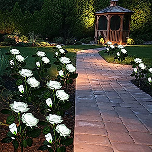 Anordsem 2 Pack Solar Rose Flower Lights, Upgrade Flower Lights Outdoor, Waterproof Solar Garden Stake Lights, Decorative Landscape Lights with 6 Rose Flowers for Backyard, Party, Pathway (White)