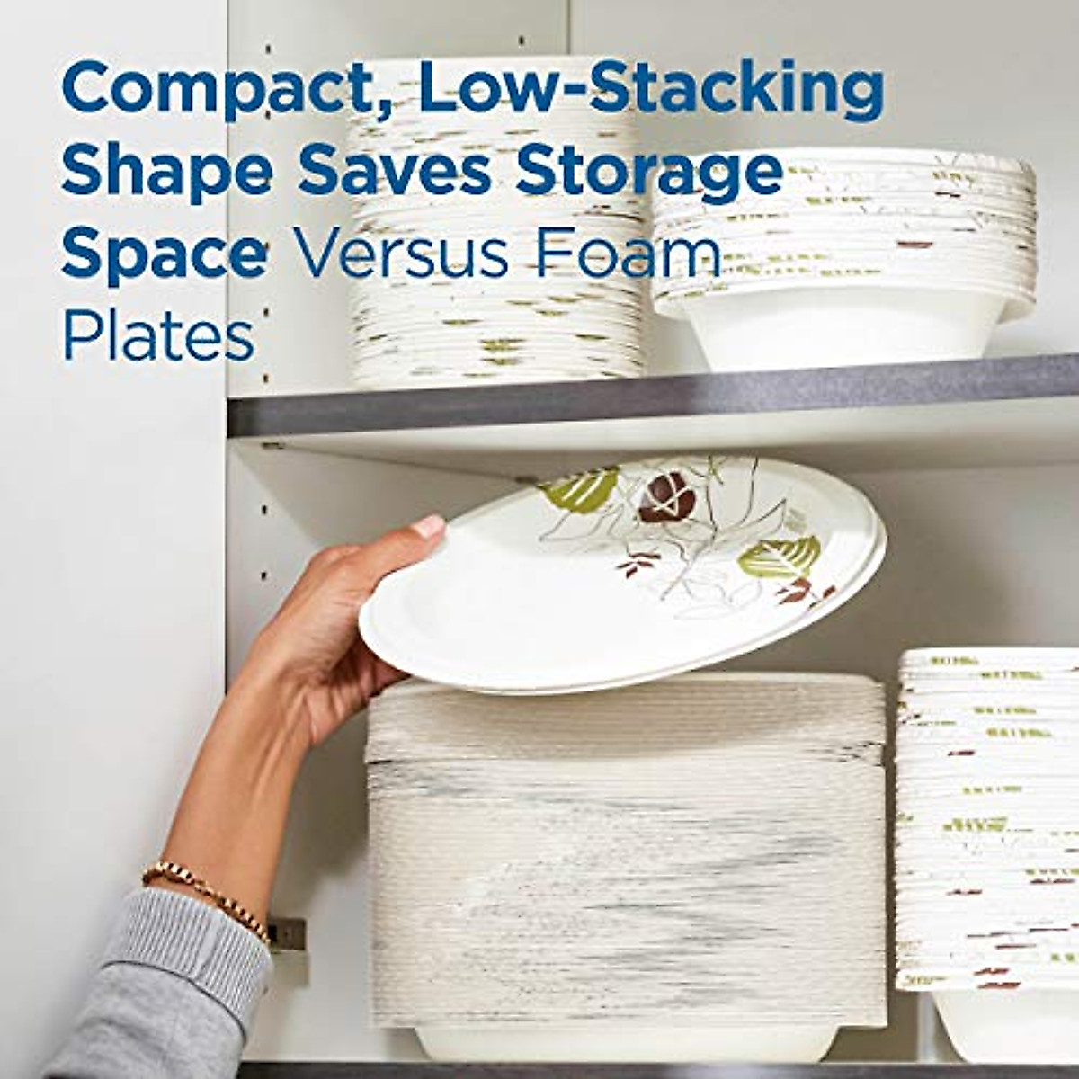 Dixie Ultra 10" Heavy-Weight Paper Plates by GP PRO (Georgia-Pacific), Pathways, SXP10PATH, 500 Count (125 Plates Per Pack, 4 Packs Per Case)