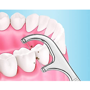 WOIWO 2PCS Stainless Steel Dental Floss Carry Oral Care Floss Cleaning Dental Crevices Tools Portable Dental Floss  