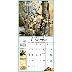 Audubon Birds in the Garden Wall Calendar 2021