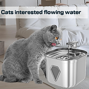 Cat Water Fountain, Stainless Steel Pet Water Fountain for Cats Inside Ultra-Quiet Pump, 2L/67oz Automatic Dog Dispenser Water Bowl, Multiple Pets Water Fountain Green