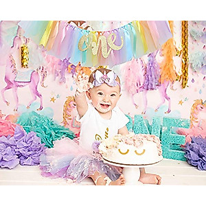 Pastel Rainbow High Chair Banner for 1st Birthday - Party Supplies for Highchair Tutu Skirt, First Birthday with One Pennant,Rainbow Birthday Decorations for Girls (Rainbow Banner)