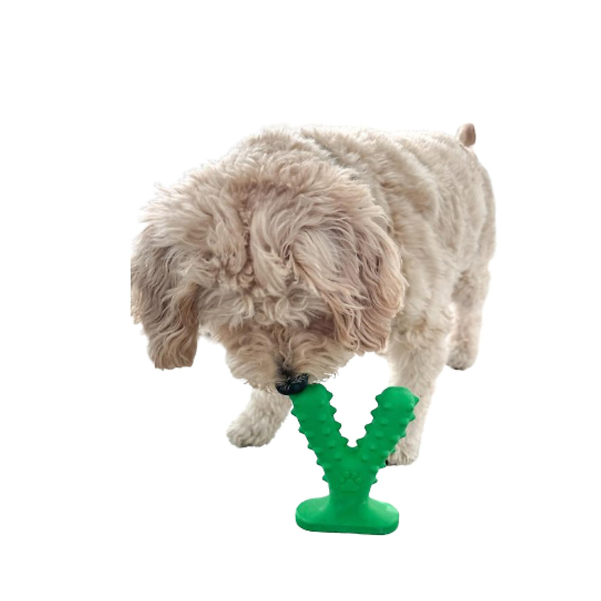 SINCREX USA Dog Toothbrush Dental Chew Cactus Toy - Teeth Cleaning, Teething Aid - Soft, Flexible, and Durable Rubber Toy for Medium and Small Breeds