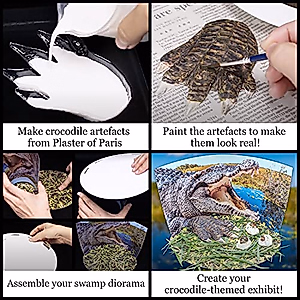 WILD ENVIRONMENTAL SCIENCE Extreme Crocodiles of the World - For Ages 6+ - Create and Customize Models and Dioramas - Study the Most Extreme Animals
