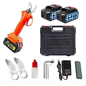 Vrseis Lithium Pruning Shears 21V Electric Secateurs SK5 Sharp Blade Branch Cutter 1 Inch/25mm Cutting Diameter with Toolbox Portable Rechargeable Garden Fruit Tree Bushes Trimmer