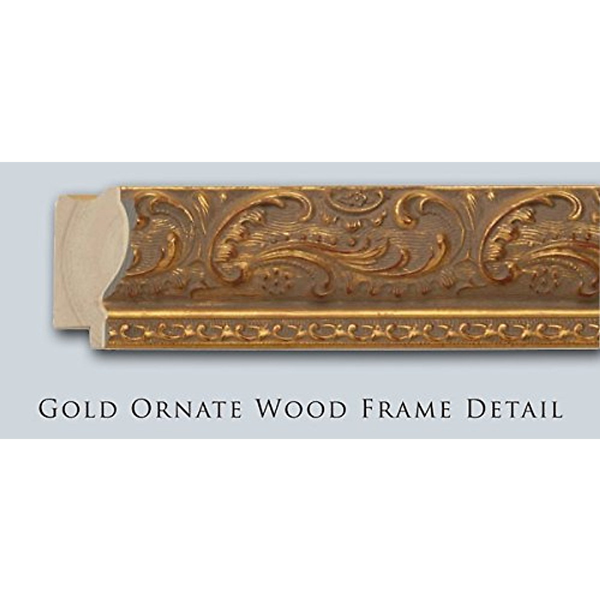 Sublime - Crazy Fool 2x Matted 28x40 Large Gold Ornate Framed Art Print