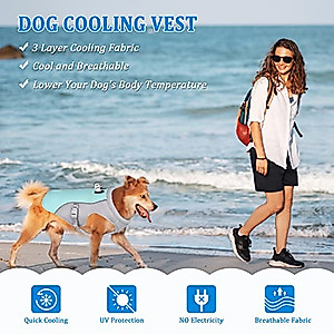 TVMALL Dog Cooling Vest Breathable Mesh Dog Jacket Summer Cool and Comfortable Dog Coat Adjustable with Reflective Strip Pet Clothes Suitable for Large Medium and Small Dogs (S, New-Blue)