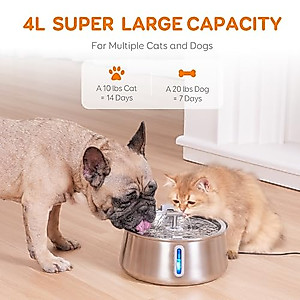 Pawque Stainless Steel Cat Water Fountain Inside, 4.0L/1.05Gal Automatic Pet Fountain Dog Water Bowl with Water Level Window & Ultra-Quiet Pump for Multiple Cats Small Medium Dogs Pets
