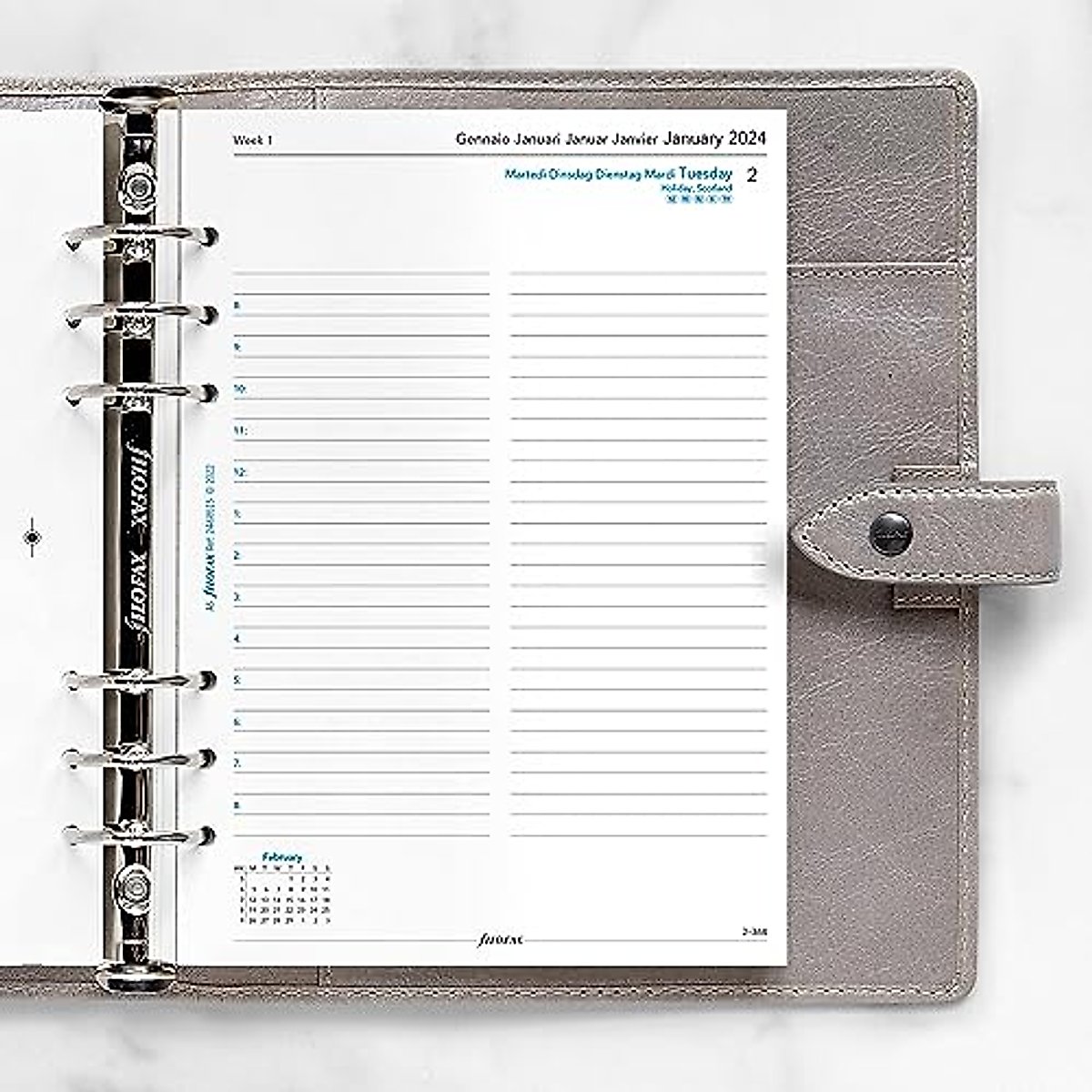 Filofax Calendar Diary Refill, A5 Size, Day on One Page with Appointments, White Paper, Multilingual: Five Languages, 2024 (C68515-24)