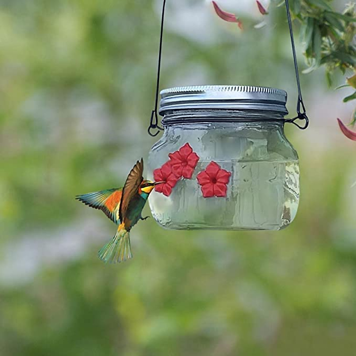 2Pack Mason Jar Hummingbird Feeder with Flower Feeding Ports for Outdoor Hanging Yard Garden Decoration Clear Reservoir Design, Portable 475ml,