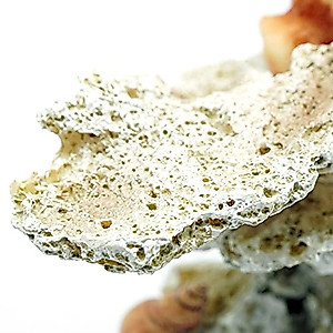 Emlymoly Aquarium Resin Ornament, Theme Decoration Fish Tank Aquarium Landscape (Coral Reef-A)