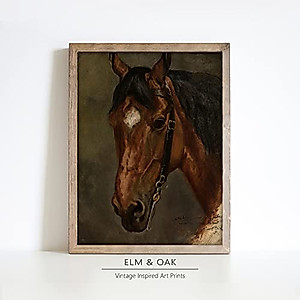 Equestrian Wall Decor - Horse Art Print for Home Decor - Antique Horse Riding Wall Artwork Decoration Farmhouse Country Wall Art for Home Decor - 11x14 inches, Ready to Frame (Stallion Portrait)