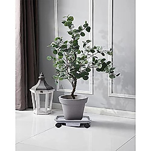 Square Plant Caddy with Wheels 14inch,Plant Stand with Wheels,Thick Plastic Plant Saucer with Drip Tray,Load Capacity 80 Lbs,Plant Trays for pots for Indoors Outdoors,2 Packs