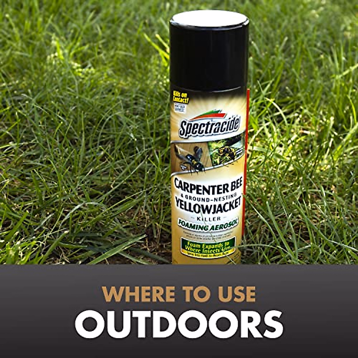 Spectracide Termite Killer, 16 oz - 12 count