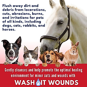 Wash-It Wound Wash for Dogs | Pet Wound Care for Dogs with Hypochlorous Acid to Clean Wounds, Cuts, Burns & Irritation & Prevents Infection | US-Made Dog Wound Care & Safe for All Animals (4oz)
