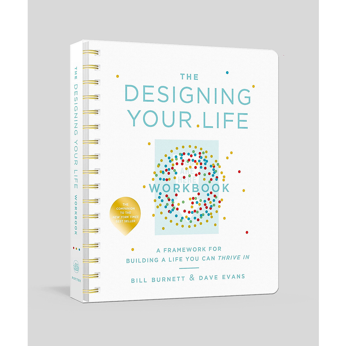 The Designing Your Life Workbook: A Framework for Building a Life You Can Thrive In
