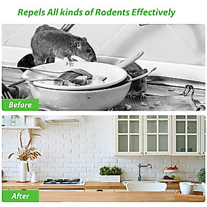 MAGIC CAT Rodent Repellent Peppermint Oil to Repel Mice & Rats, 12 Pack Natural Rat Deterrent for Indoor Home Pet Family Safe, Mouse Stopper for Car Engine RV Truck Garage Closet Boat Rodent Control