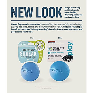 Outward Hound Orbee-Tuff Squeak Ball Blue Dog Fetch Toy