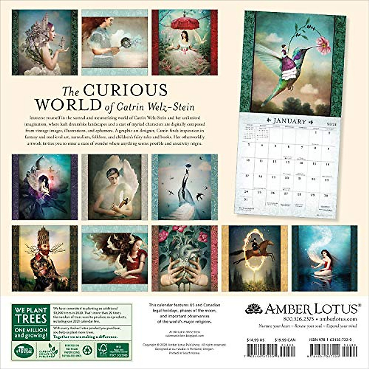The Curious World of Catrin Welz-Stein 2021 Calendar