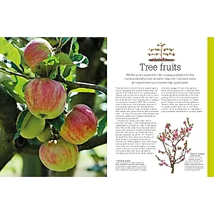 Pruning and Training, Revised New Edition: What, When, and How to Prune