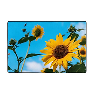 Custom Door Mat Personalized Area Rug Design Photo Name Logo Image Non-Slip Carpet for Outdoor Indoor Home Garden Bathroom Living Room Office Decoration (24 * 36 in)