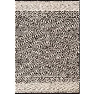 Hauteloom Areli Living Room, Bedroom Patio Outdoor Area Rug - Black, Gray, Beige - 7'10" x 10'