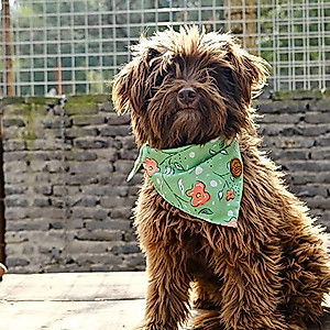 CROWNED BEAUTY Spring Dog Bandanas Reversible Large 2 Pack, Flower Plants Set, Plaid Stripes Adjustable Triangle Holiday Scarves for Medium Large Extra Large Dogs Pets DB41-L