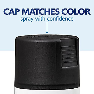 Rust-Oleum 346951-6PK Painter's Touch 2X Ultra Cover Spray Paint, 12 oz, Satin Canyon Black, (Pack of 6)