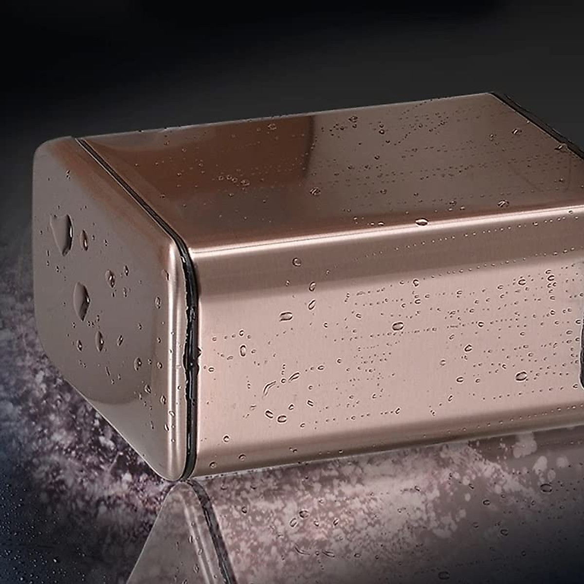 LIRUXUN Gallon Soft-Close Trash Can Foot Pedal Stainless Steel