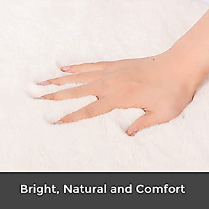 HYSEAS Luxurious Faux Rabbit Fur Rug, 2x3 Feet Faux Fur Area Rug Ultra Soft Fluffy Plush Shaggy Carpet Throw Area Rug for Floor, Sofa, Bedroom, Living Room, Home Decoration, White