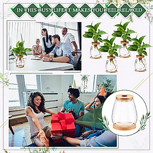 4 Pcs Desktop Plant Terrarium Plant Propagation Planter Propagation Vase Propagation Jars Glass Plant Containers Air Planter Water Station with Wooden Lid and Stand for Hydroponic Home Office (Large)