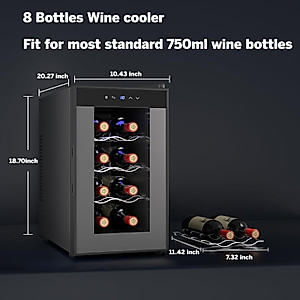 Vaykold 8 Bottle Wine Fridge, Small Wine Cooler for Red White, Wine Refrigerator with Dual-Pane Gray Glass Door, Quiet Steady Thermoelectric Operation, 41-64F, Designed for Party, Basement, Bar, Gift