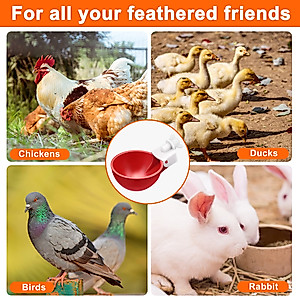 ZenxyHoC DIY Chicken Waterer Cups, 5 Pack Automatic Chicken Water Feeder Kit with 1/8'' MPT Hole Saw for Buckets Boxes Troughs, Poultry Waterer for Chicks Duck Goose Turkey or Bunny