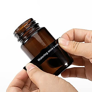 6 Multi-Color +2 Black Replace Label Compatible for Brother P-Touch Tze Label Tape