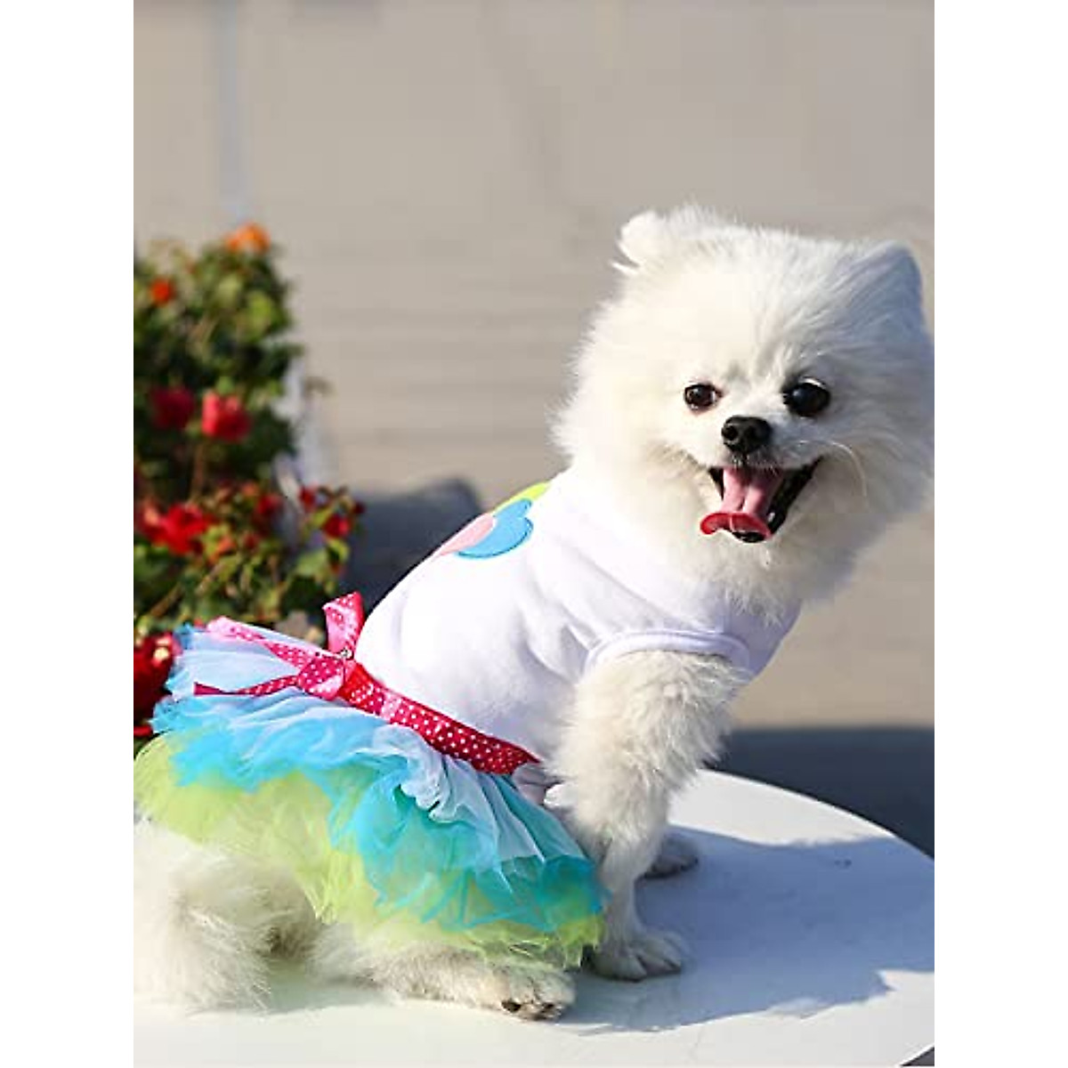 QWINEE Heart Pattern Dog Dress Sleeveless Cat Puppy Princess Dresses with Polka Dot Bow Skirts for Small and Medium Dogs Cats Kitten Multicolor S