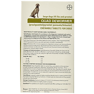 Bayer Animal Health Quad Dewormer for Large Dogs (Over 45 lbs) 2 Chewable Tablets
