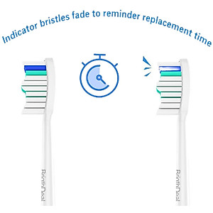 BrightDeal Replacement Toothbrush Heads Compatible with Philips Sonicare Toothbrush Electric Handle, for Sonicare E Series Essence, Xtreme, Elite, Advance and CleanCare Toothbrush, 6 Pack