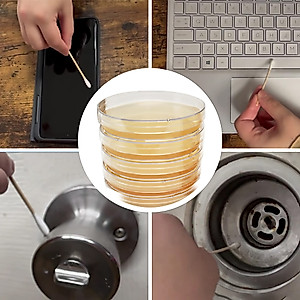 Evviva Sciences Potato Dextrose Agar Petri Dishes - Prepoured Potato Dextrose Agar (PDA) - for Mushrooms, Home Test Kit, or for Science Fair Projects, Petri Dishes with Agar