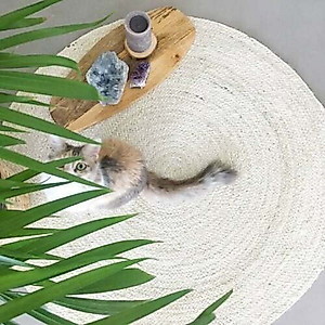 THE PIKKU INTERNATIONAL - Rug Round Natural Jute Hand Woven Braided White Dye Area Rug (132 x 132 Inch (11 Feet Round))