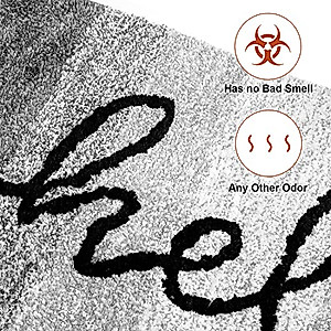 SUNNOW Indoor Doormat Front Door Entrance Door Mat 36x24 inch Non-Slip Absorbent Mud Trapper Mats, Machine Washable Low Profile Inside Entryway Small Area Rug