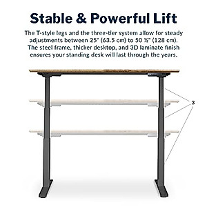 Vari Electric Standing Desk 60" x 30" (VariDesk) - Electric Height Adjustable Desk - Standing Desk for Office or Home - Adjustable Standing Desk - Powerful Dual Motor Sit Stand Desk - Reclaimed Wood