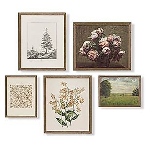 Vintage Botanical Wall Art Decor - Farmhouse Wall Decor for Bedroom Living Room Bathroom - Flower Poster Floral Pictures Plant Wall Prints for Kitchen Decor - Rustic French Country Room Decor Set of 5